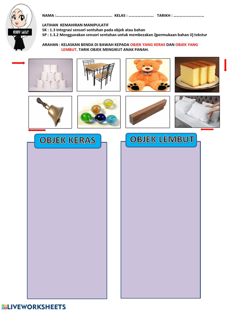 Cikgu Laily: Objek Yang Keras Objek Yang Lembut | PDF