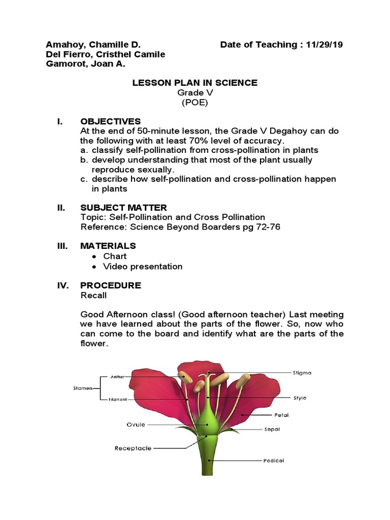 Grade 2 School Garden Lesson Plan Pollination Lesson 🌿 Plant