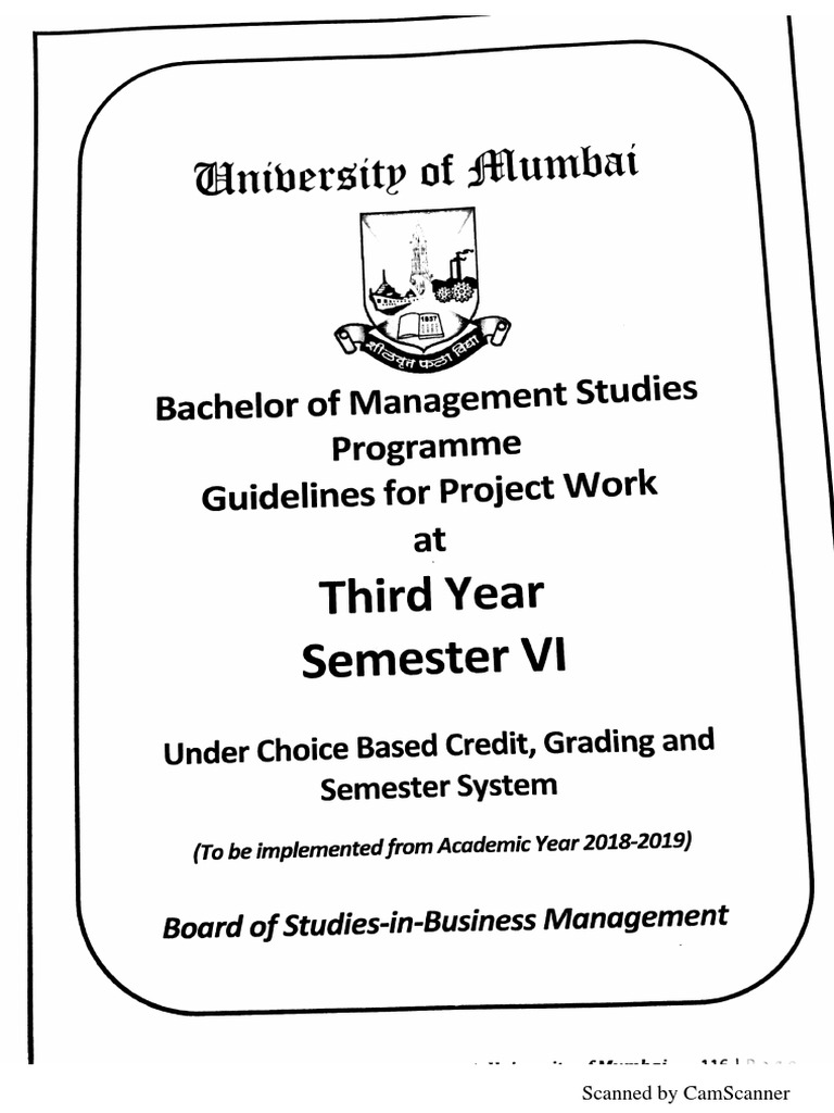 Project Work Guidelines | PDF