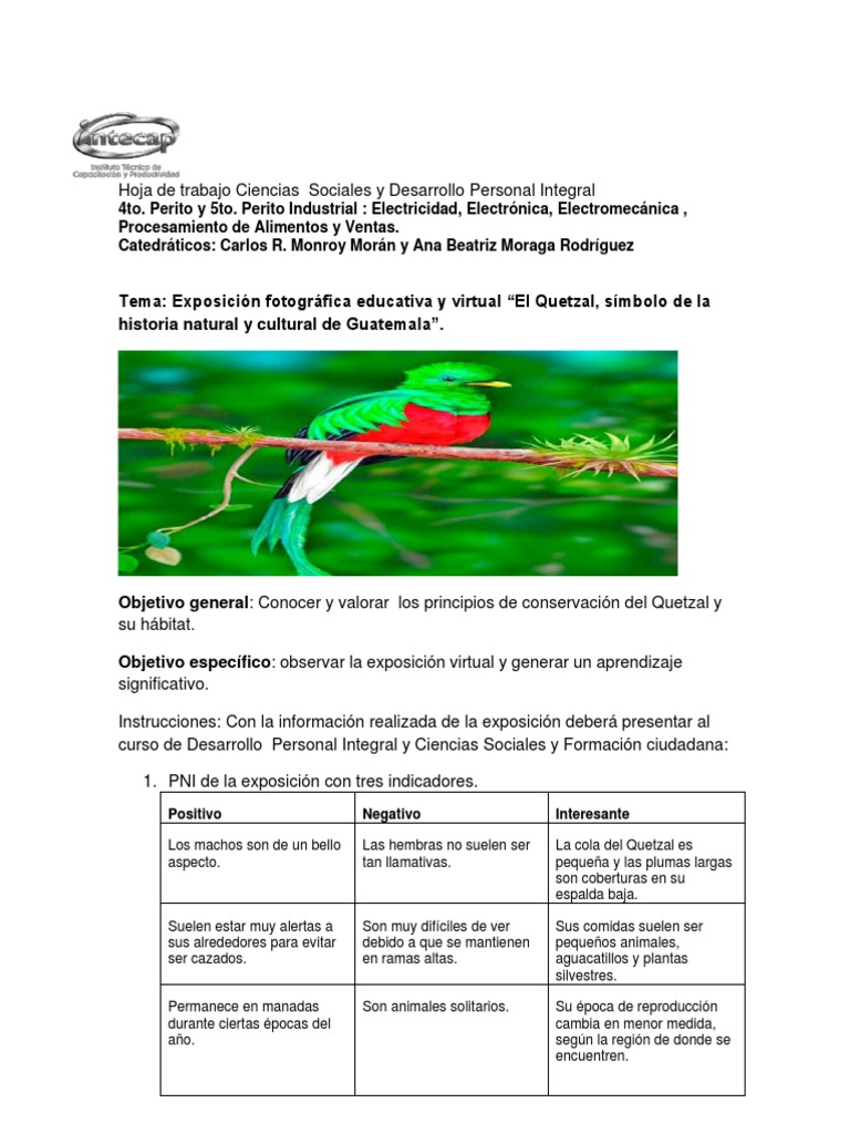 Hoja de Trabajo Exposición El Quetzal | PDF | Guatemala | Extinción