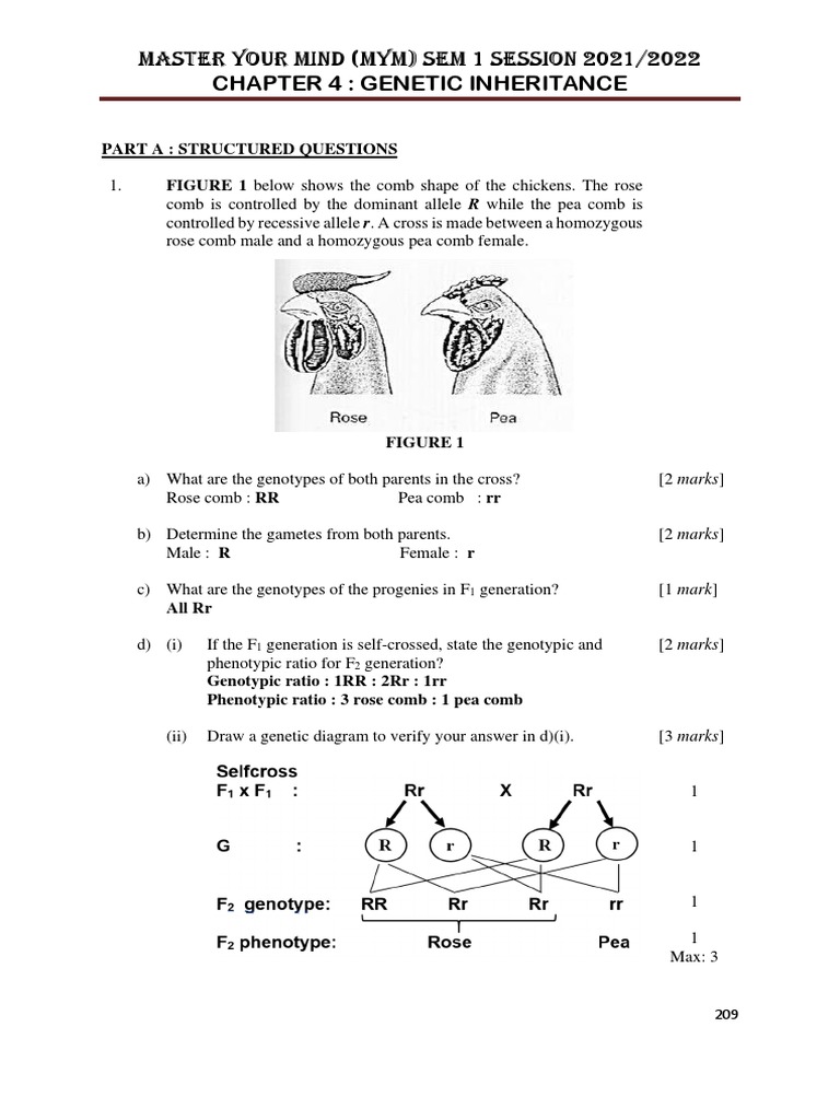 Chapter 4: Genetic Inheritance: Master Your Mind (Mym) Sem 1 Session 2021/2022 | PDF | Dominance ...