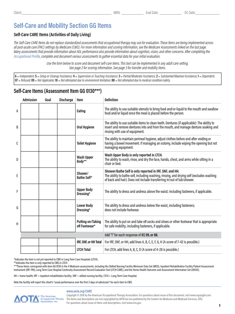 Self Care Mobility Section GG Items Assessment Template | PDF | Health ...
