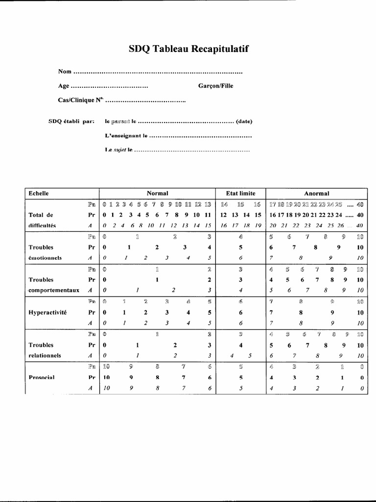 SDQ French Scoringrecord | PDF