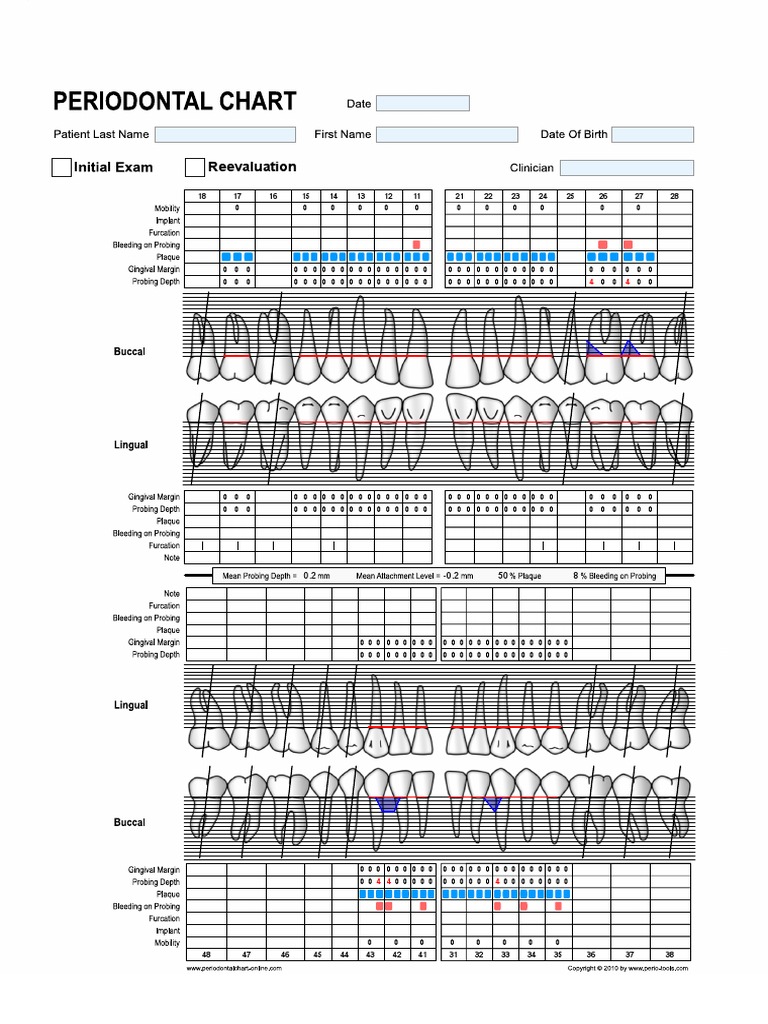 Periodontal Chart Online | PDF
