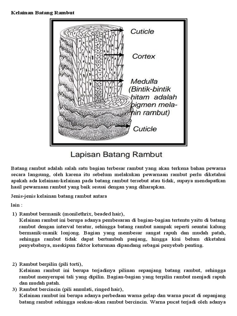 Kelainan Batang Rambut | PDF