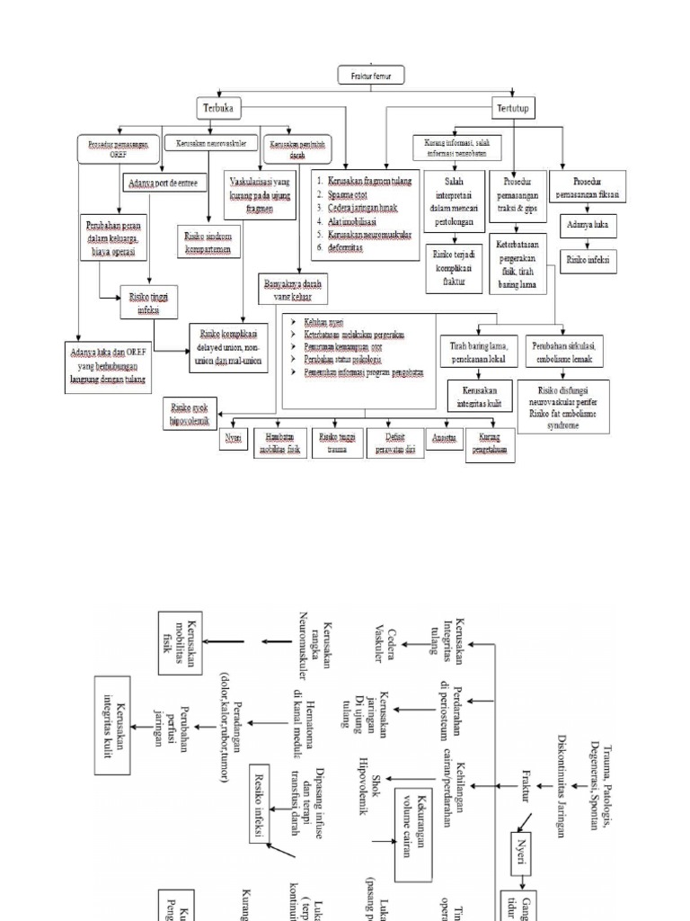 Pathways Fraktur Femur | PDF