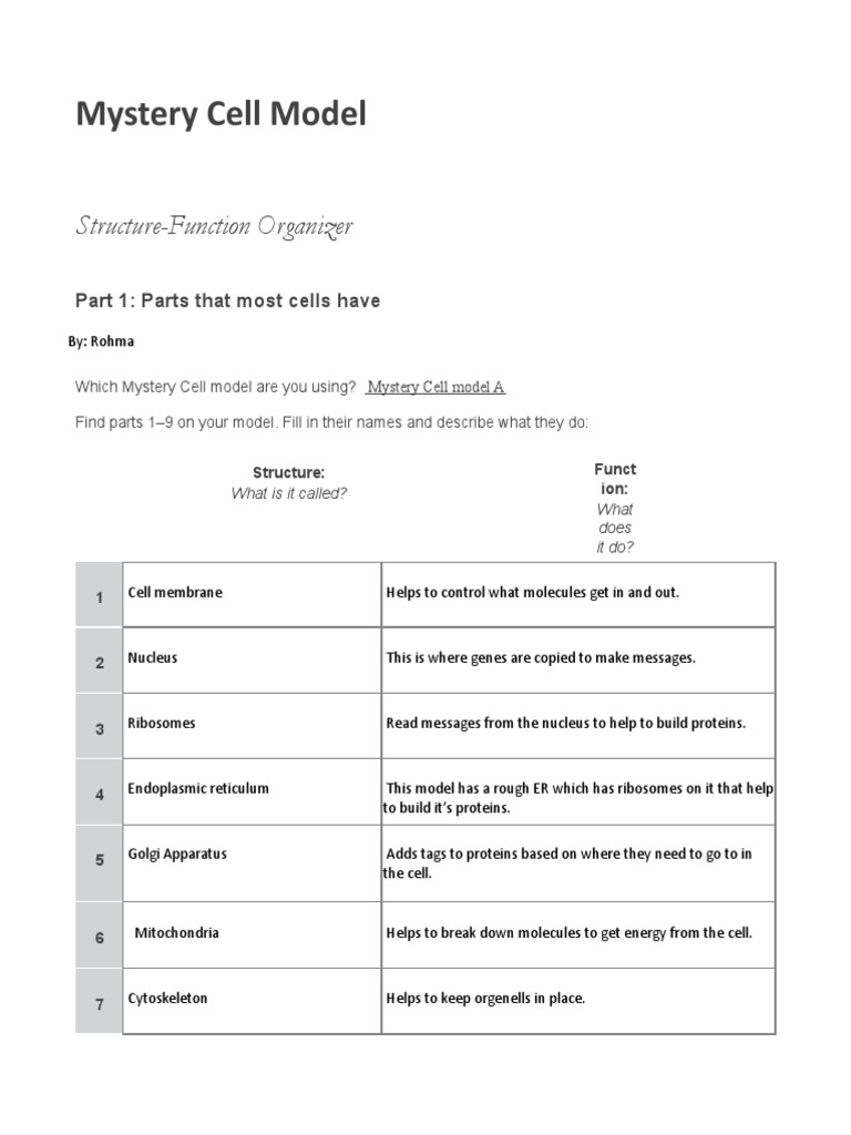 Mystery Cell Model Structure and Function | PDF | Cell (Biology ...