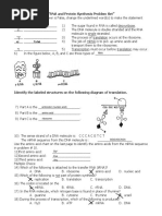 RNA and Protein Synthesis Problem Set | PDF | Translation (Biology) | Rna