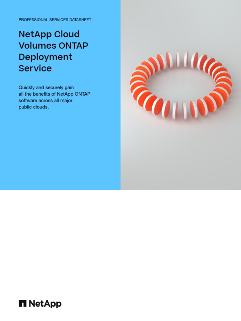 Netapp Cloud Volumes Ontap Deployment Service | PDF | Cloud Computing ...