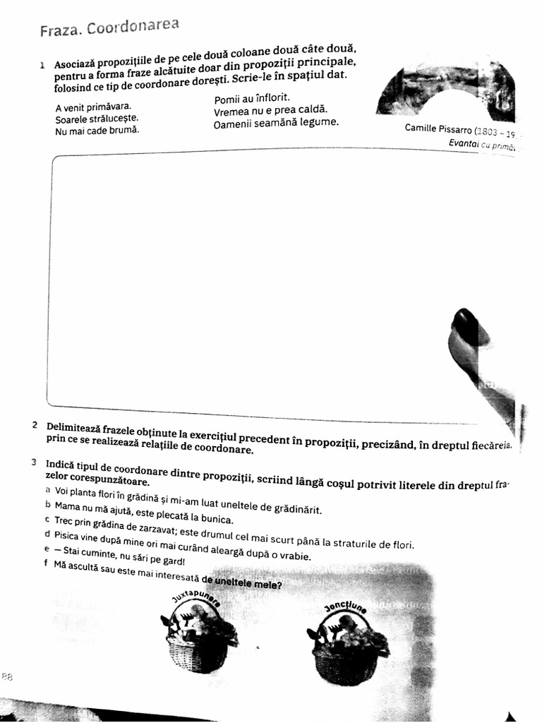 Fraza. Coordonare - Subordonare | PDF