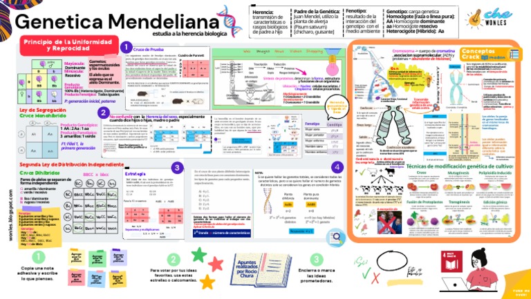 Genetica Mendeliana | PDF | Dominancia (Genética) | Genética
