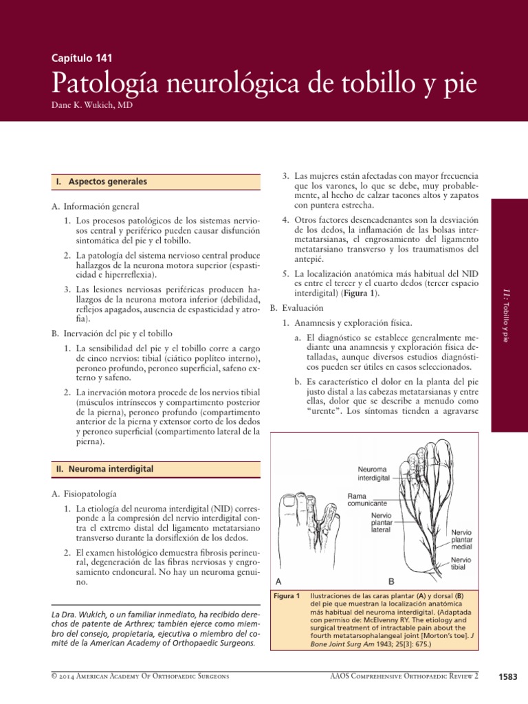 AAOS Cap 141 | PDF | Pie | Tobillo