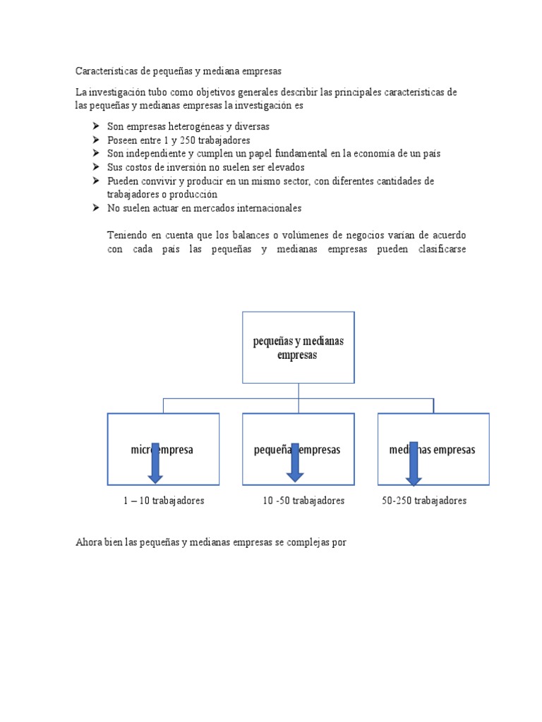Características de Pequeñas y Mediana Empresas | PDF
