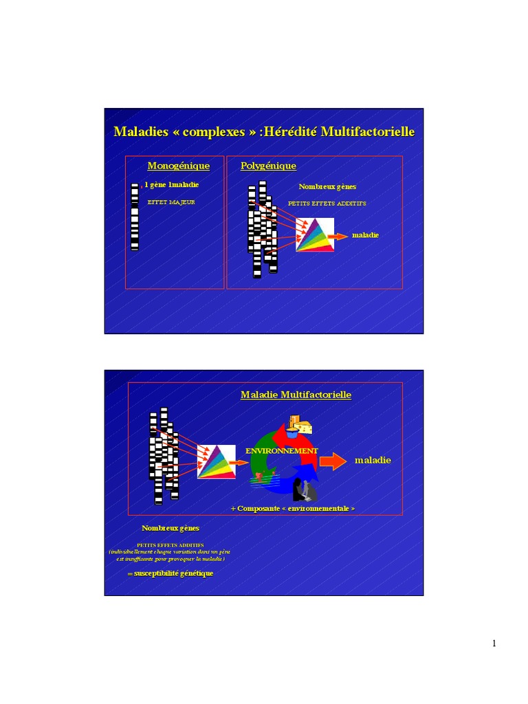 4 Multifactoriel - Exhaustif Light | PDF | Hérédité | Gène