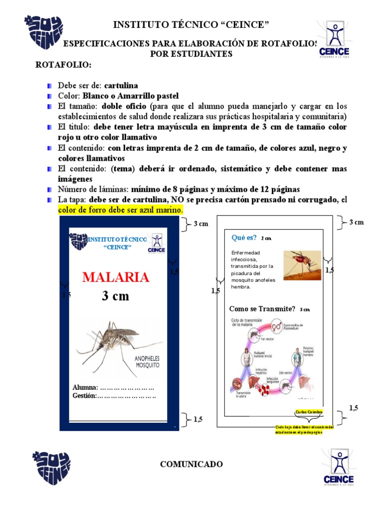 Elaboracion Rotafolio 2021 | PDF | Ciencias de la Salud | Ciencias de ...