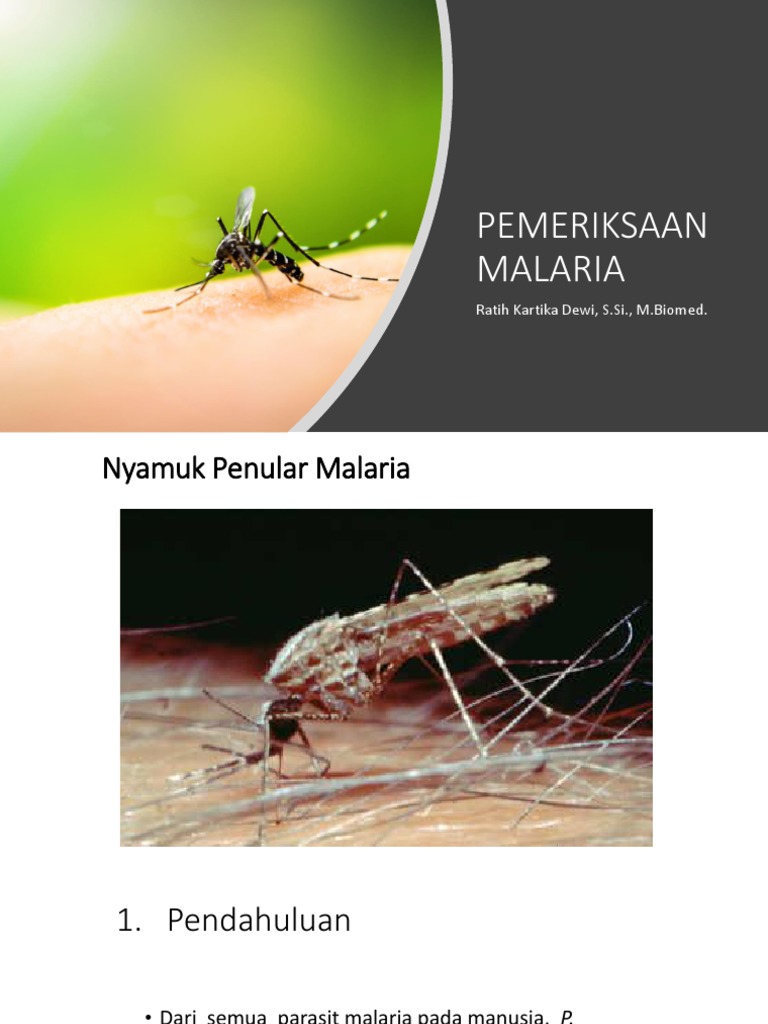 Pemeriksaan Rdt Malaria Pdf