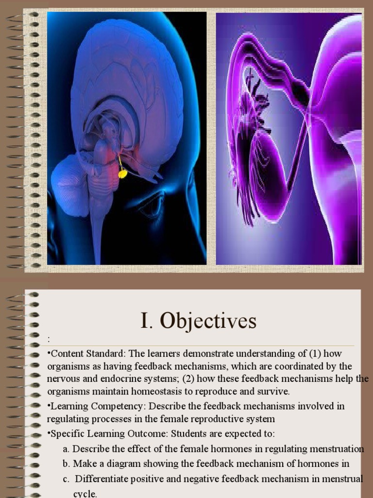 Lesson Plan | PDF | Learning | Hormone