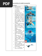 Estilo Pecho o Braza en Natación | PDF | Nadando | Natación (deporte)