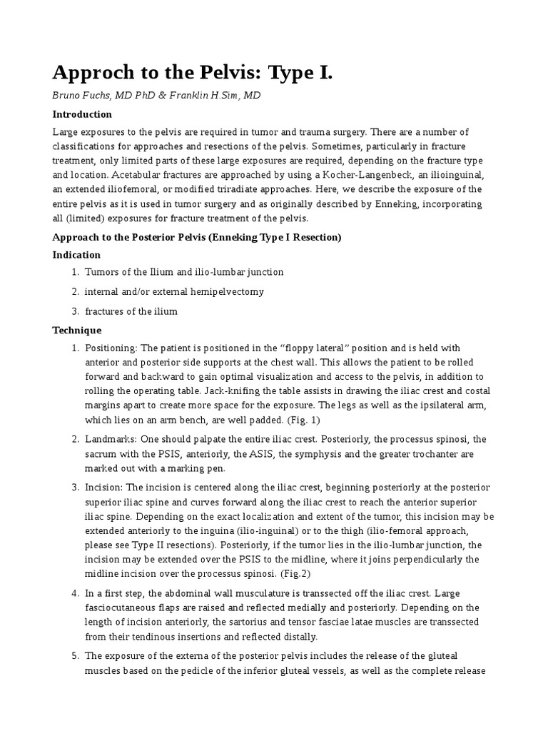 Approach Pelvis Type I | PDF | Pelvis | Limbs (Anatomy)