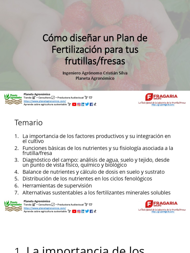 Cómo Diseñar Un Plan de Fertilización para Tus | PDF | Fertilizante | Suelo