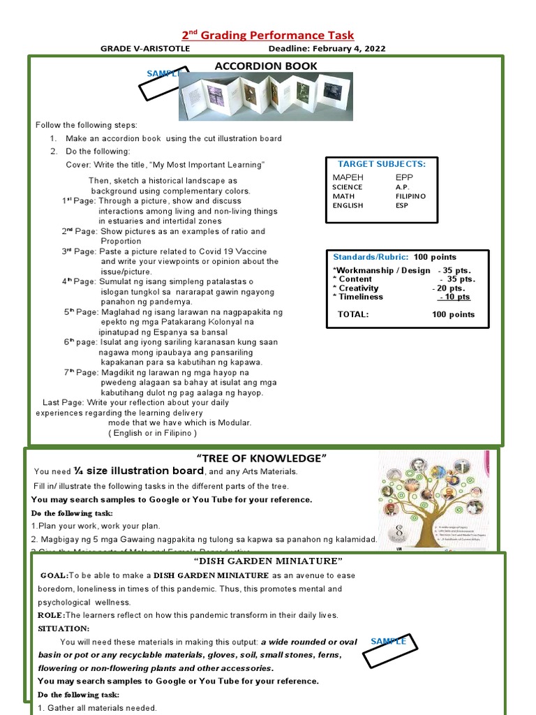 Grade 2 Performance Task Guidelines | PDF