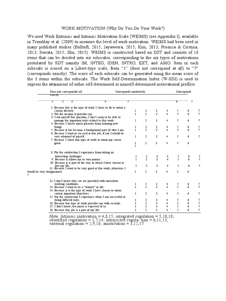 Work Motivation | PDF | Motivation | Motivational