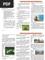 Module I. Beef Cattle Production | PDF | Cattle | Calf