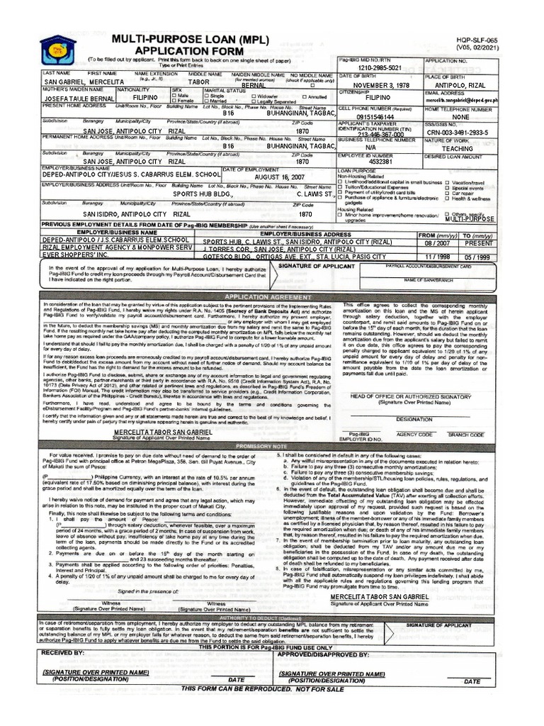 Pag-IBIG Multi-Purpose Loan Form Sample | PDF | Public Finance ...