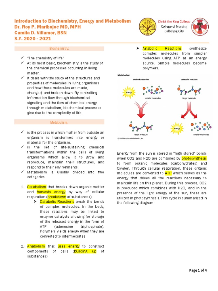 Biochemistry of Energy and Metabolism | PDF | Metabolism | Carbohydrates