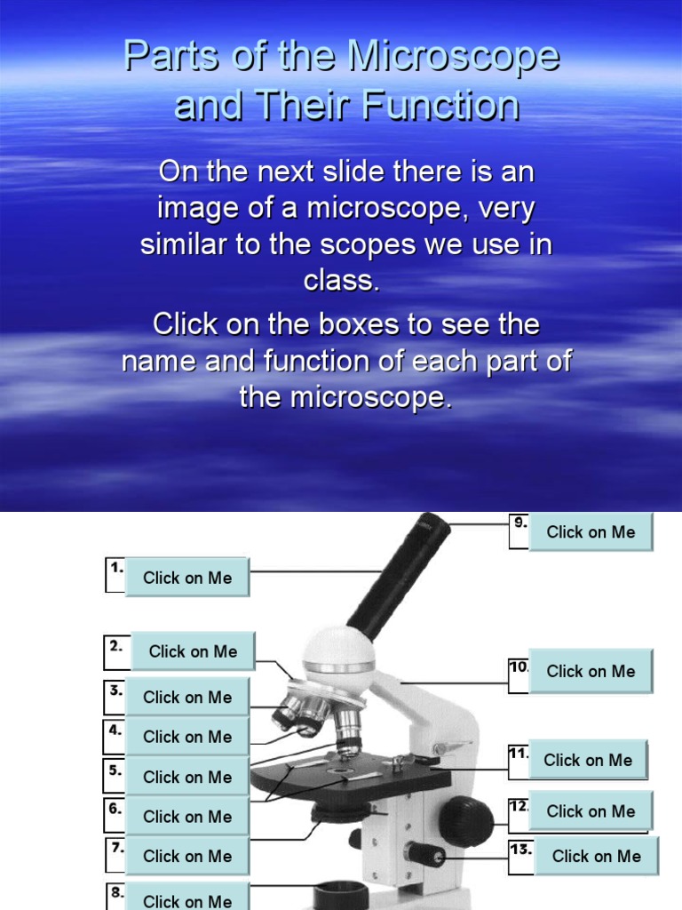 Parts of The Microscope and Functions PPT 1 | PDF | Microscopy | Glass ...