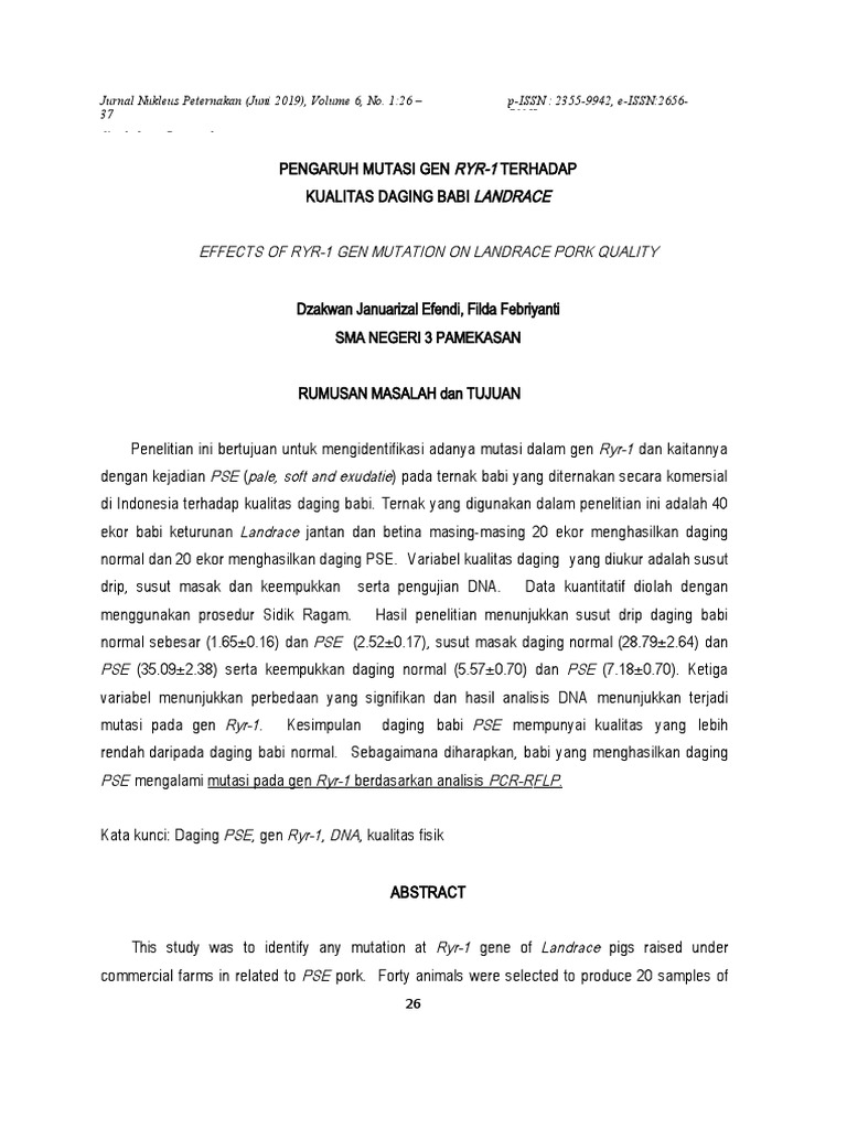 Jurnal | PDF