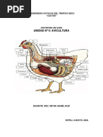 Partes de Una Gallina y Sus Funciones | PDF | Pollo | Pluma