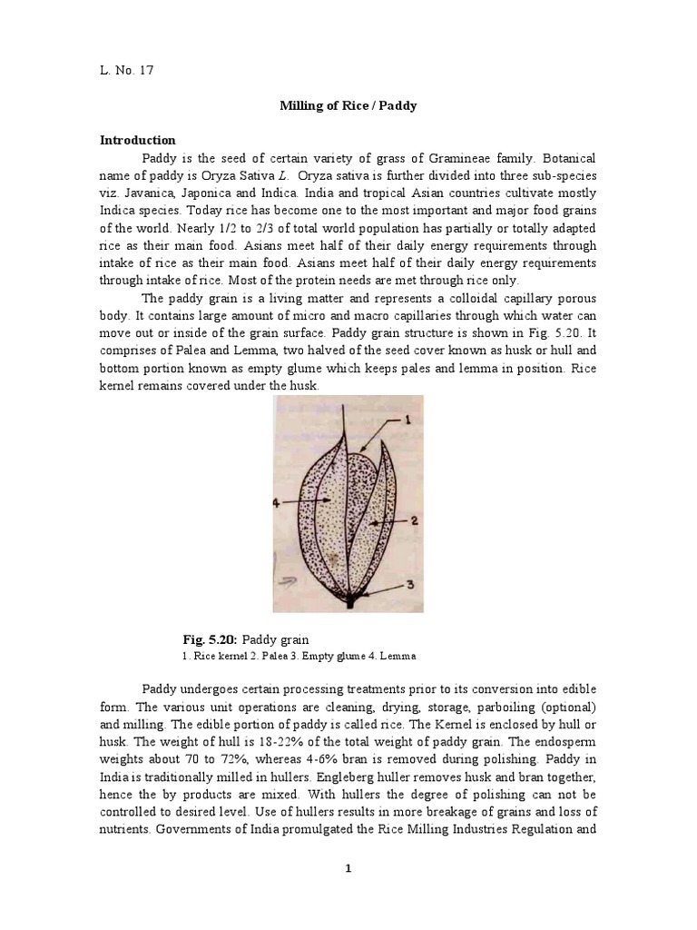 Milling of Rice / Paddy: 1. Rice Kernel 2. Palea 3. Empty Glume 4 ...