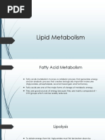 Metabolic Worksheet | PDF | Citric Acid Cycle | Diet & Nutrition