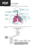 Printable Digestive System Cut-Outs | PDF