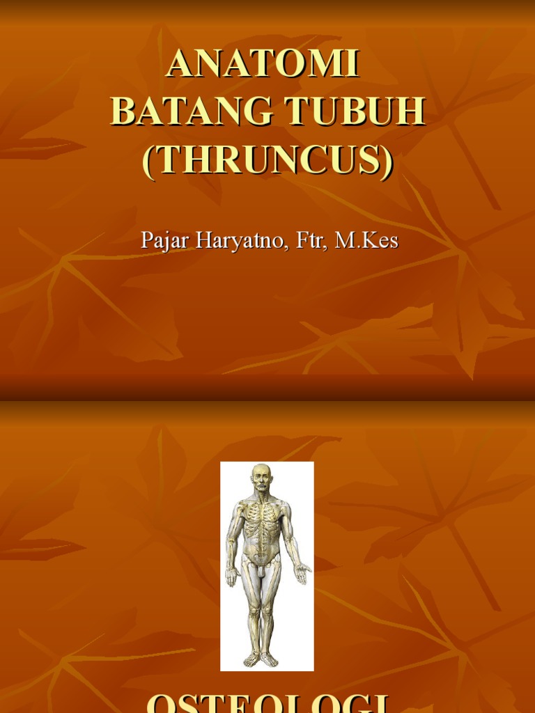 Anatomi Vertebra dan Struktur Tulang | PDF | Vertebra | Thorax (Human ...