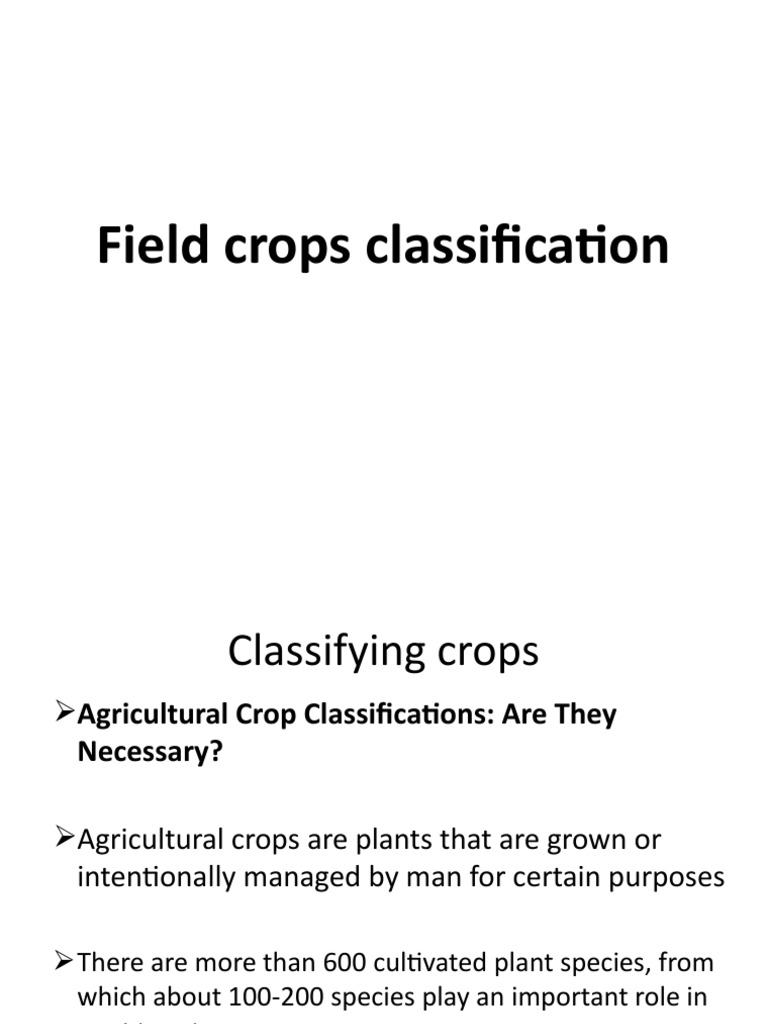 Classification of Field Crops | PDF | Legume | Pollination