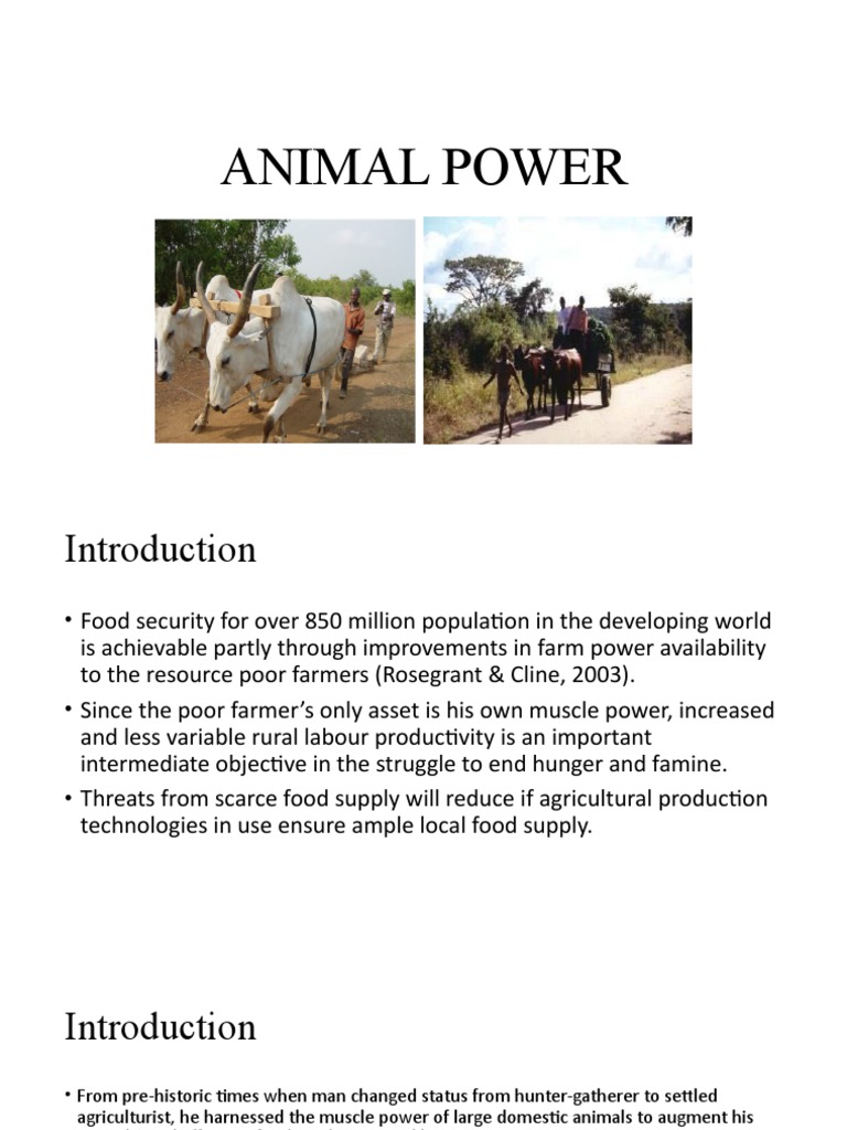 Harnessing Animal Power: A Review of the Role of Draught Animals in ...