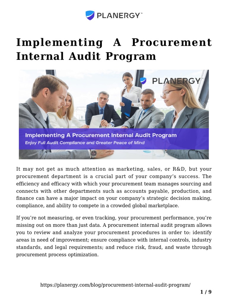 Procurement Internal Audit Program | PDF | Procurement | Audit