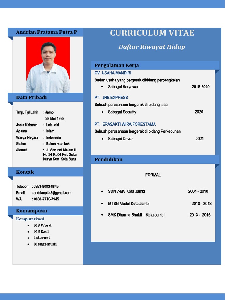 CV Pulung | PDF