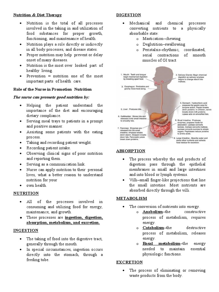 Nutrition & Diet Therapy (1st Notes) | PDF | Fat | Vitamin