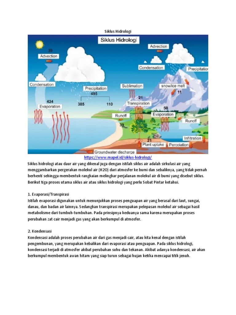 Siklus Hidrologi | PDF | Ilmu Sosial | Sains & Matematika