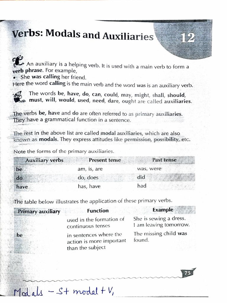 Grade 6 Modals | PDF | Verb | Grammar