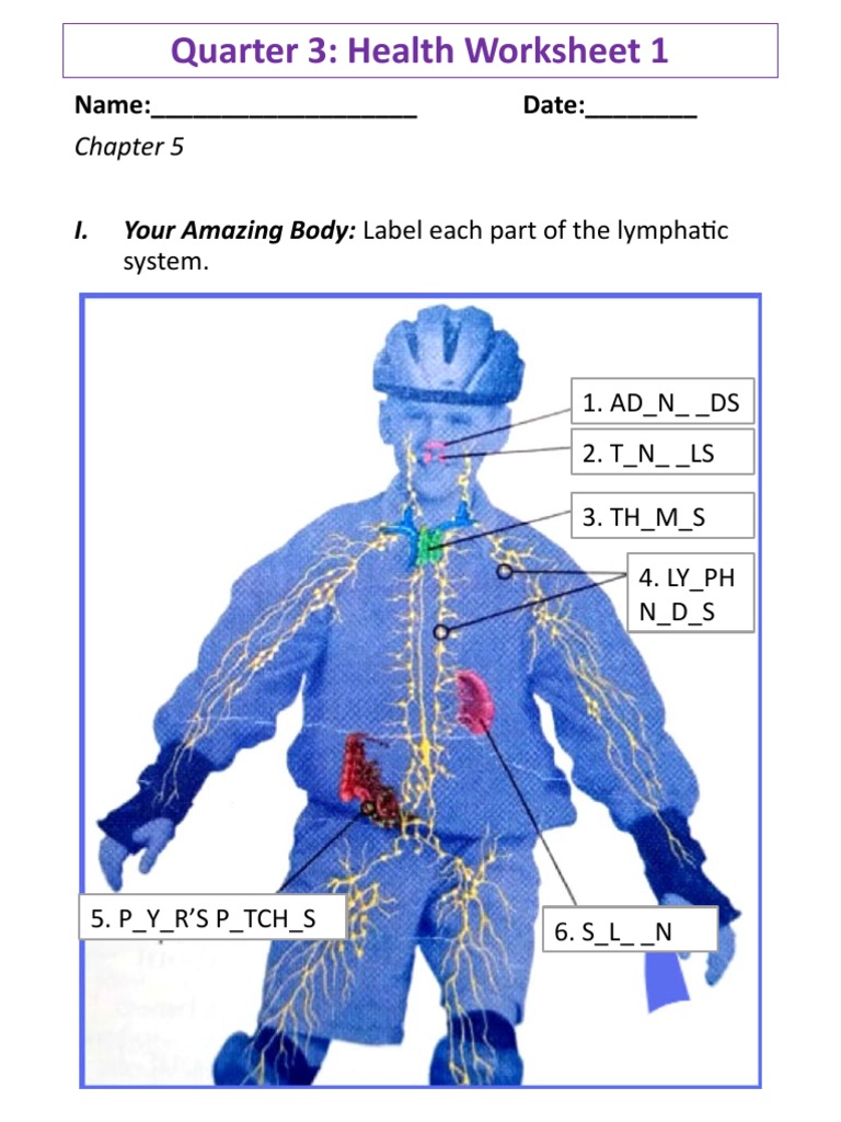 Health Worksheet | PDF