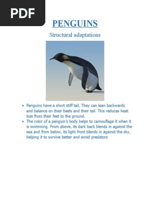 Adaptation Of Penguins