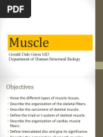 Willits Accellerated Achilles Rehab | PDF | Physical Therapy ...