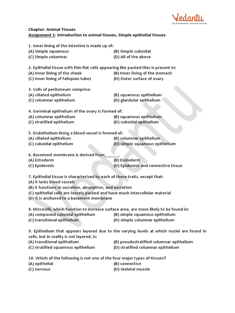 Biology Quiz: Animal Tissues | PDF | Epithelium | Microscopy