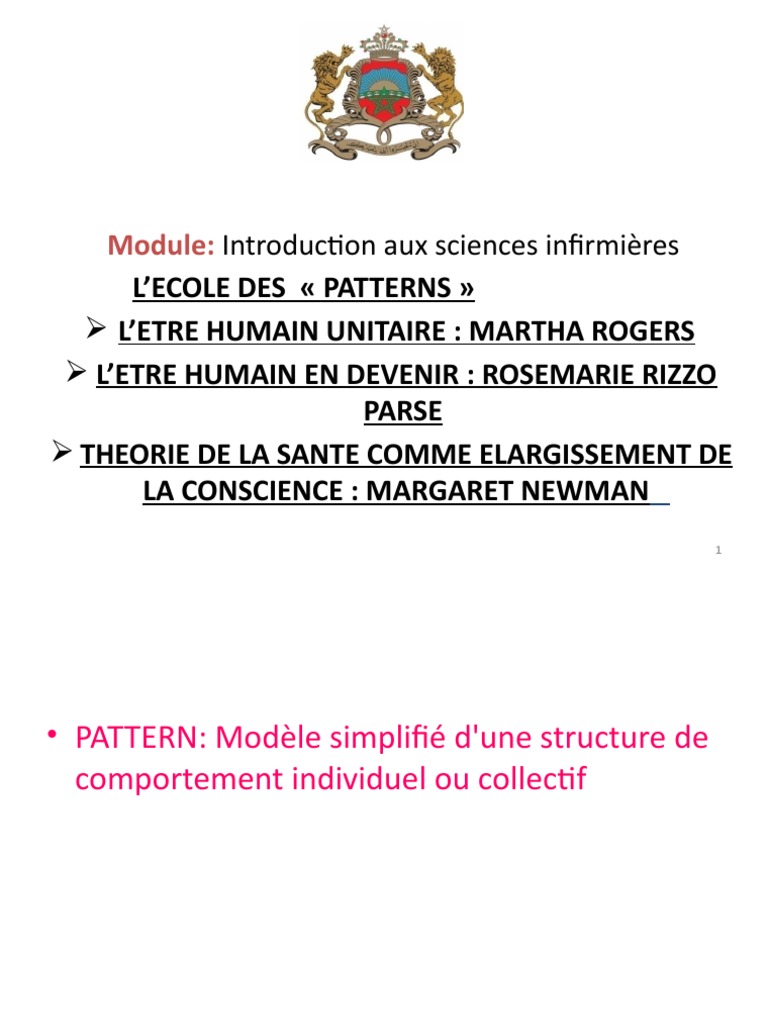 Ecole Des Patterns | PDF | Allaitement | Conscience