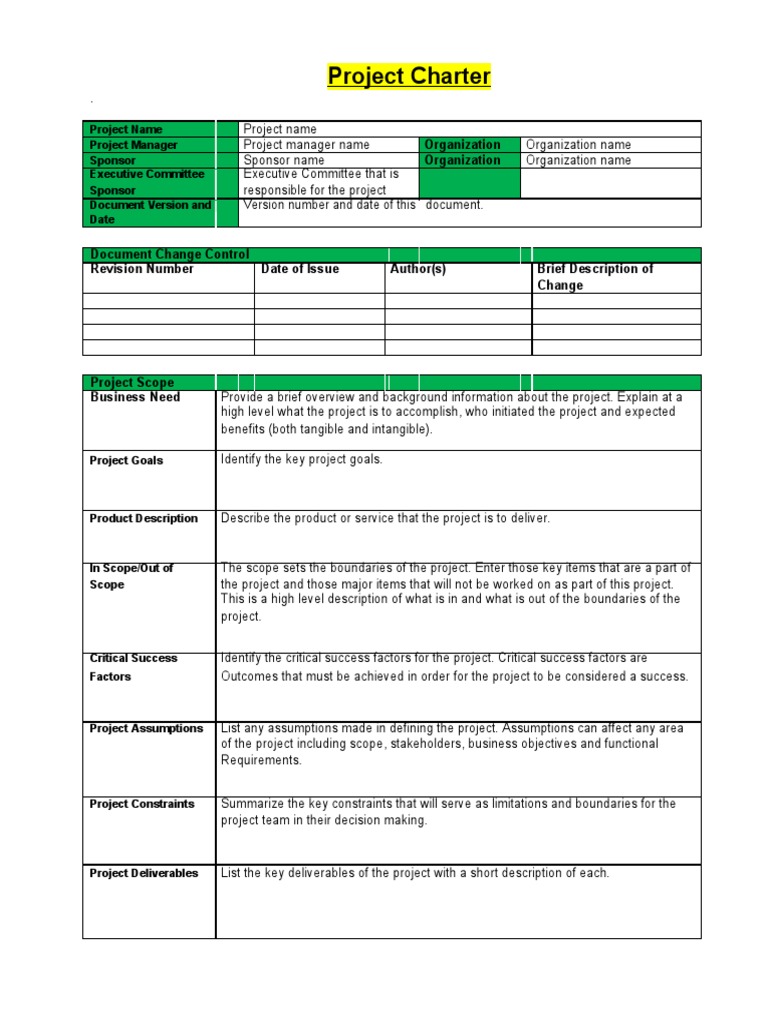 Project Charter: Organization Organization | PDF | Risk Management | Risk