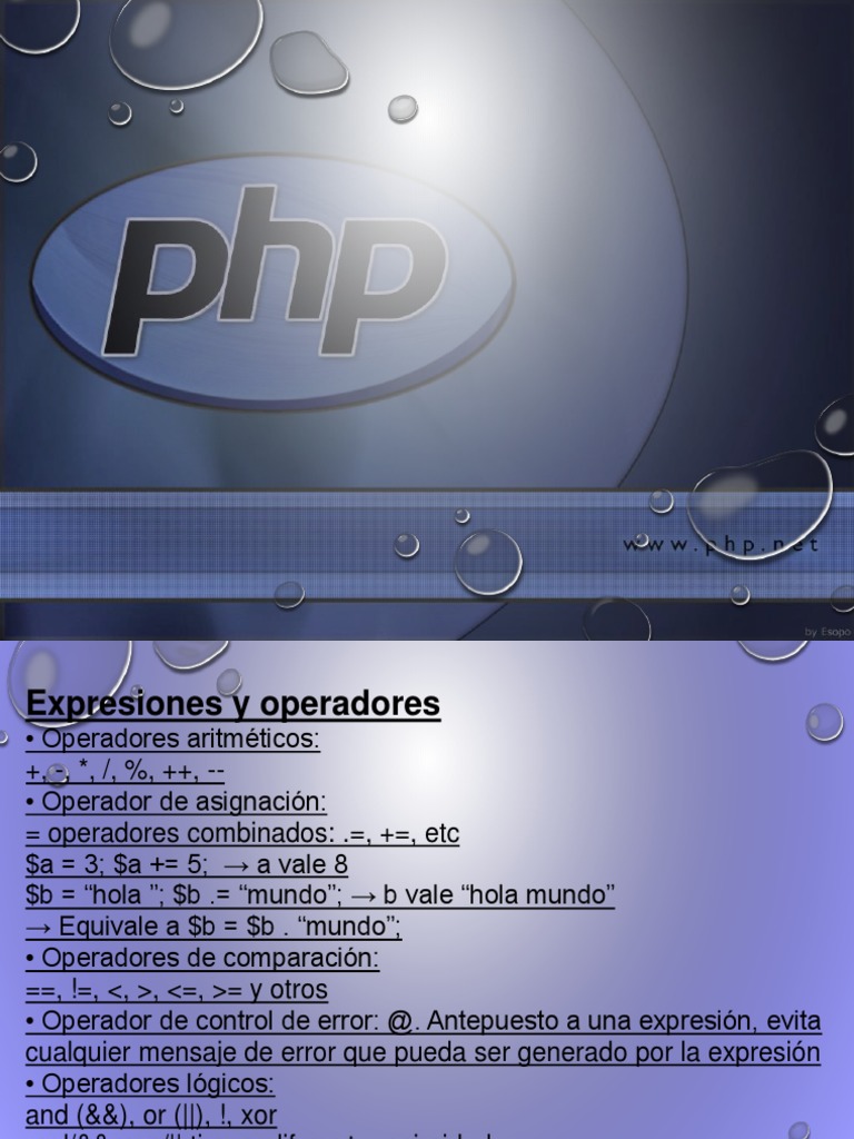 Operadores y Expresiones | PDF